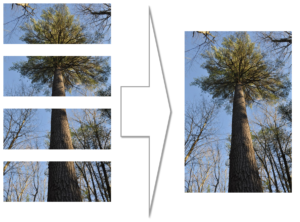 Merge multiple JPEG images into single JPEG image